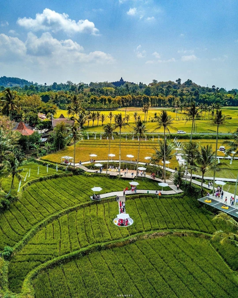 Svargabumi Borobudur, Wisata Tengah Sawah Ala Ubud - De Jogja Adventure