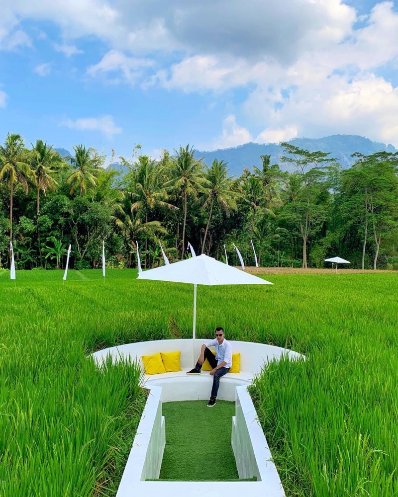 Svargabumi Borobudur, Wisata Tengah Sawah Ala Ubud - De Jogja Adventure